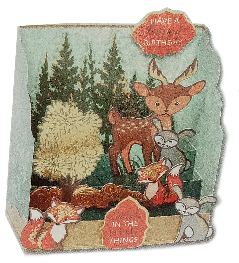 Paper Wishes | Center Stage Card Kit